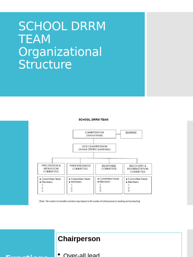 School DRRM Team Overview | PDF