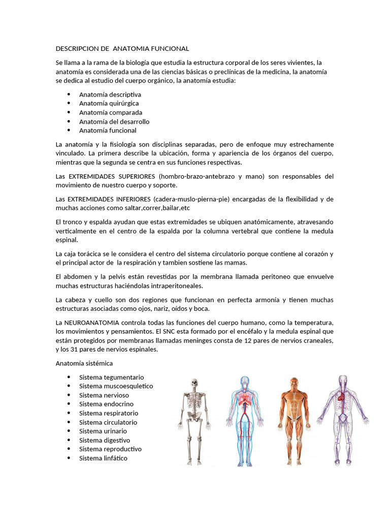 Descripcion de Anatomia Funcional | PDF