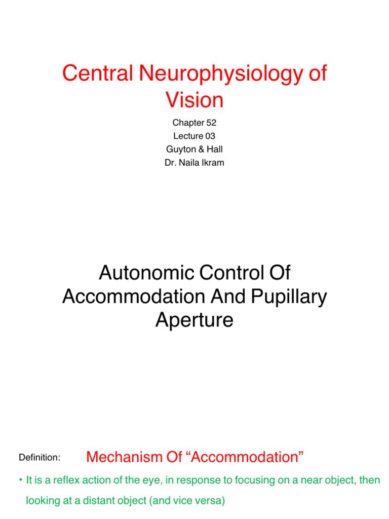 Central Neurophysiology of Vision 3 | PDF | Autonomic Nervous System ...