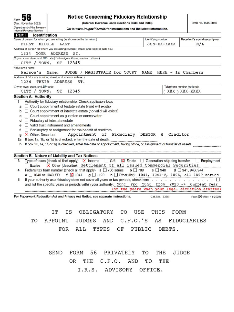 56 Judge Template | PDF