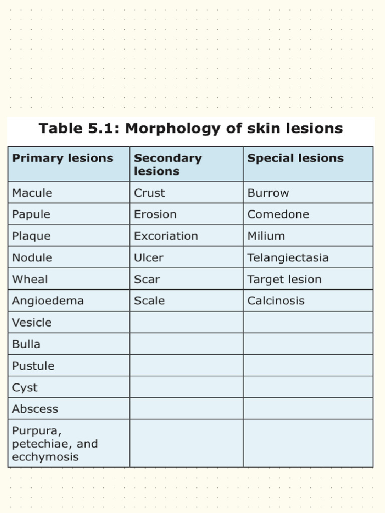 Lesions in Dermatology 2 | PDF
