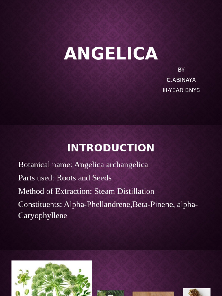 Angelica | PDF | Aromatherapy | Arthritis