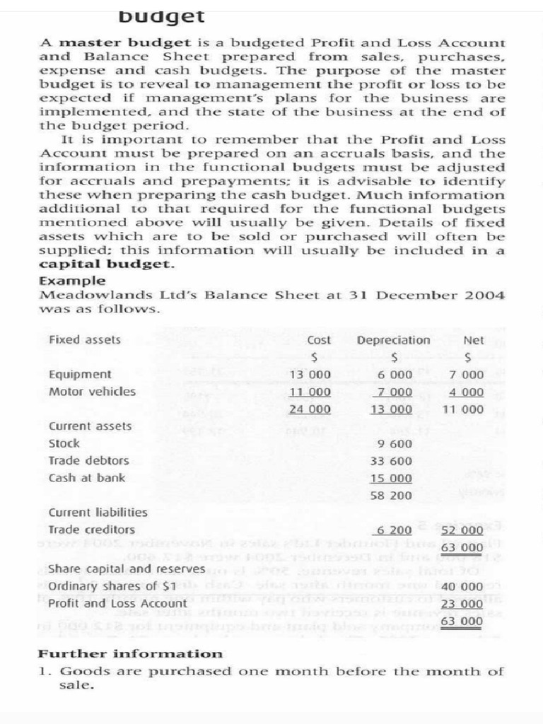Budgeted Financial Statements | PDF