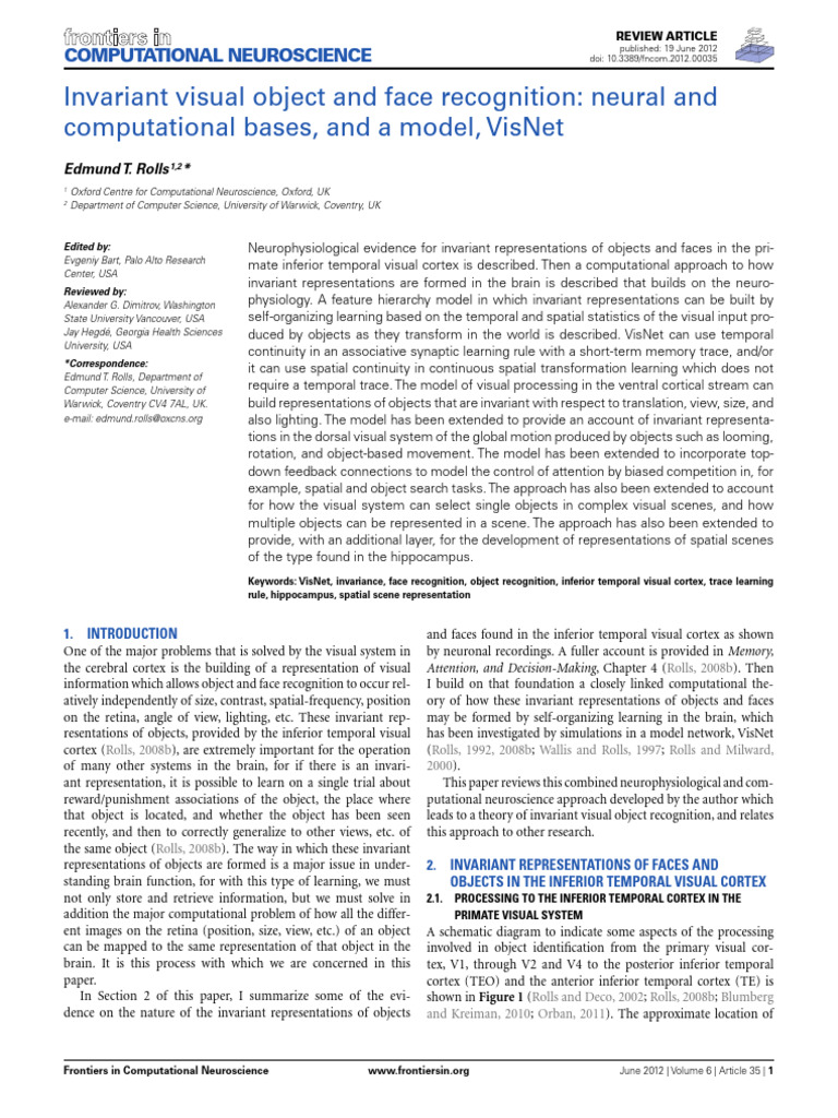 invariant visual object | PDF | Visual Cortex | Visual System