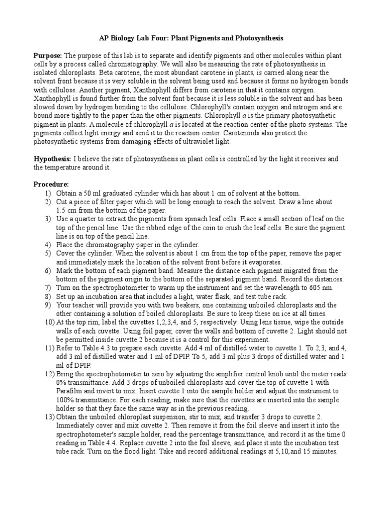 Plant Pigments and Photosynthesis Lab | PDF | Photosynthesis | Chlorophyll