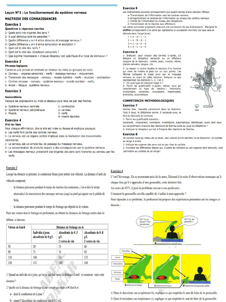 TD1 3eme | PDF