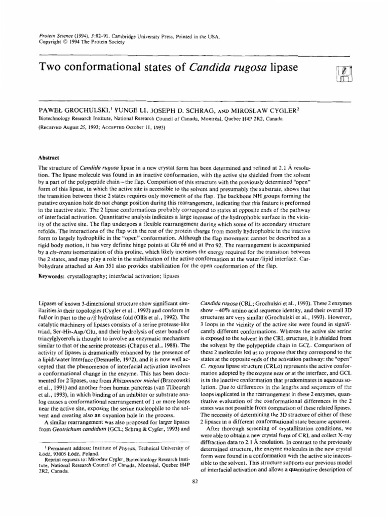 Two Conformational States of Candida Rugosa Lipase | PDF | Active Site ...