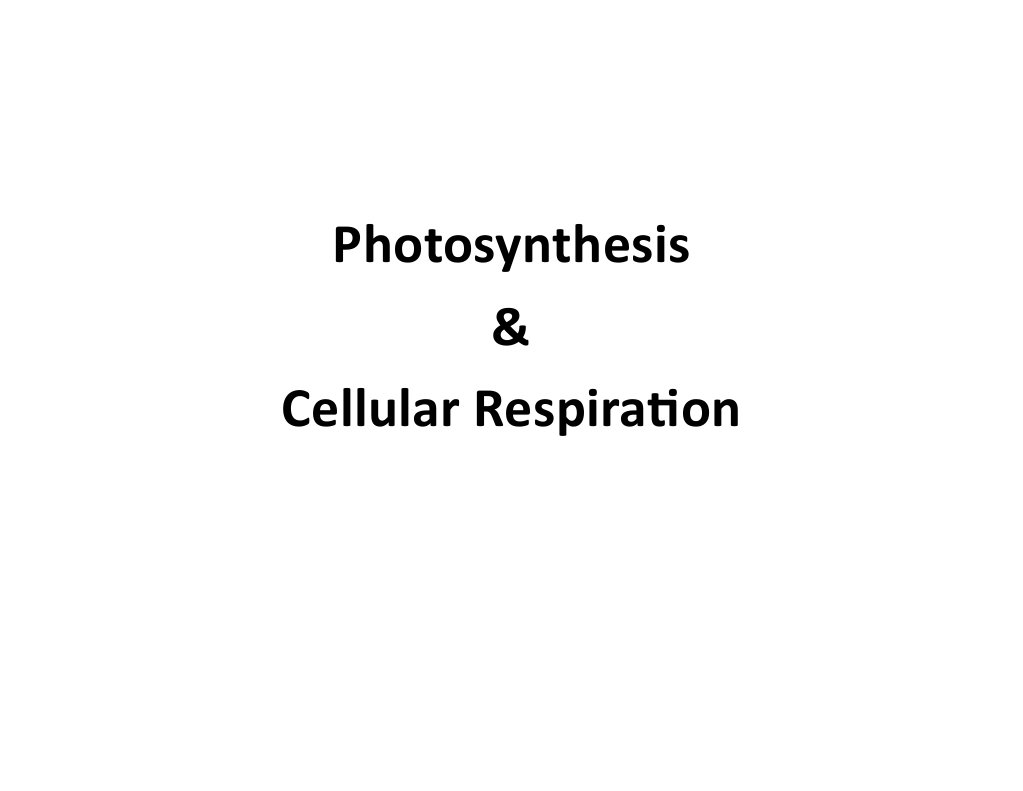 Photosynthesis Cellular Respiration | PDF