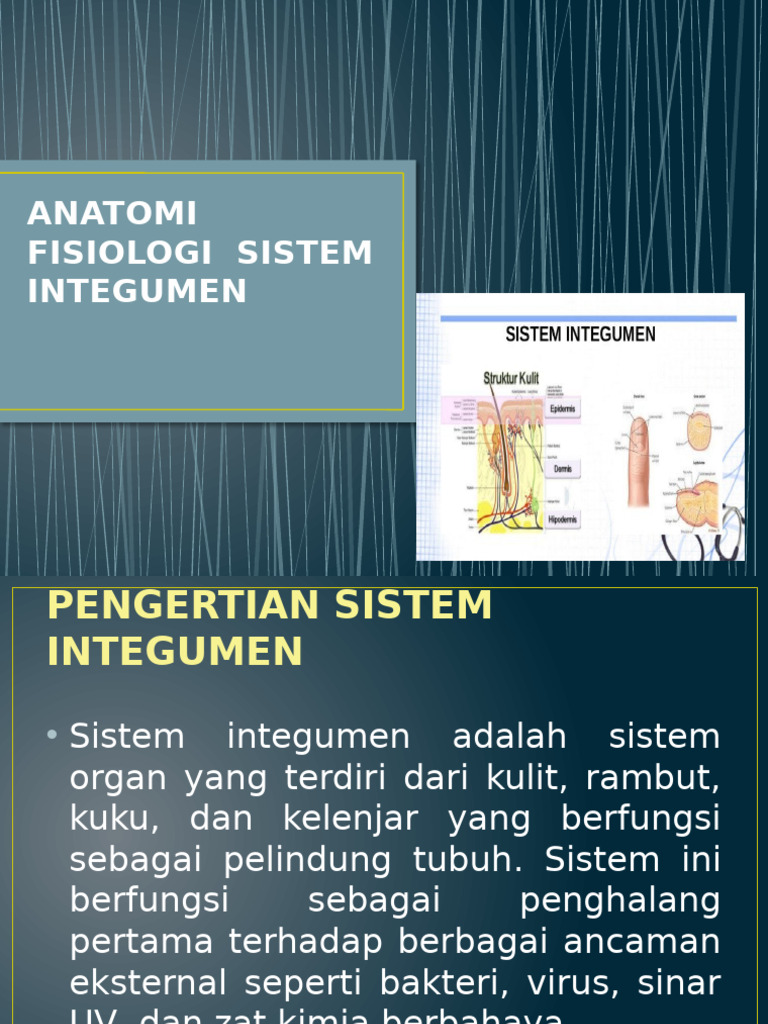 Materi Anatomi Fisiologi Sistem Integumen | PDF
