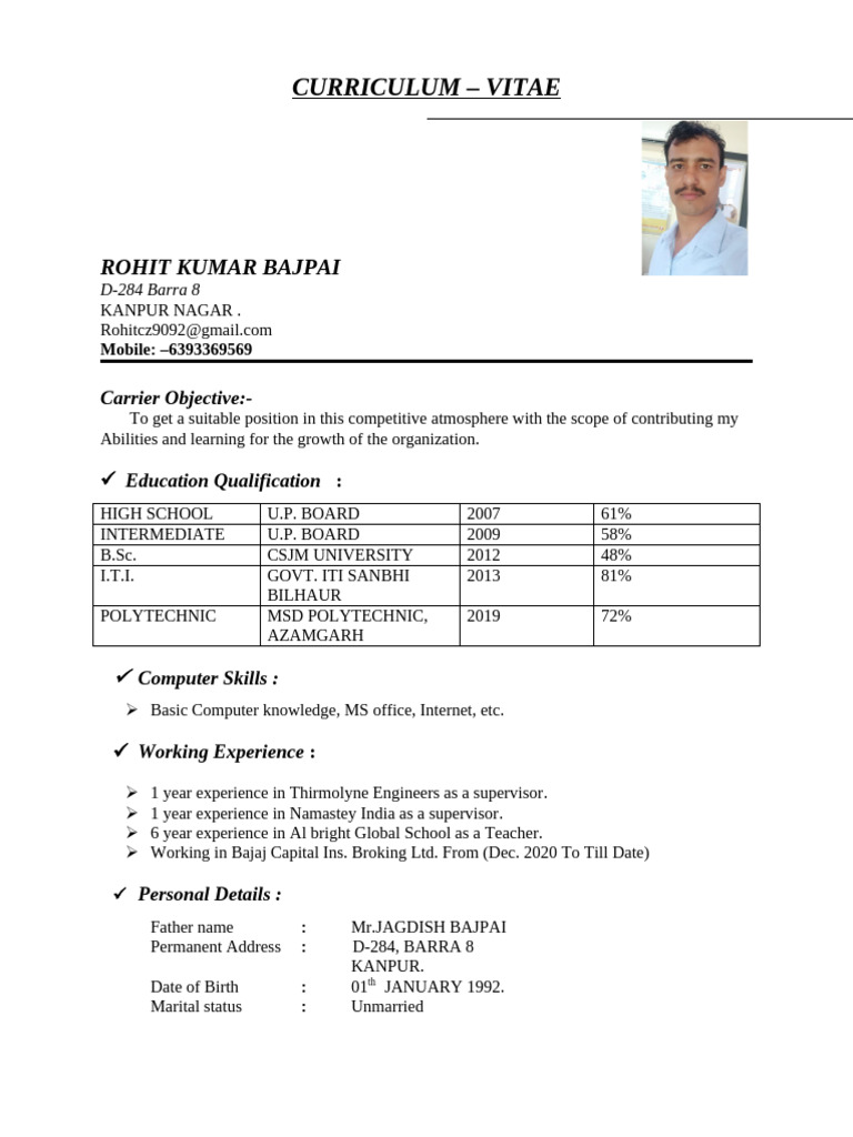 ROHIT RESUME | PDF