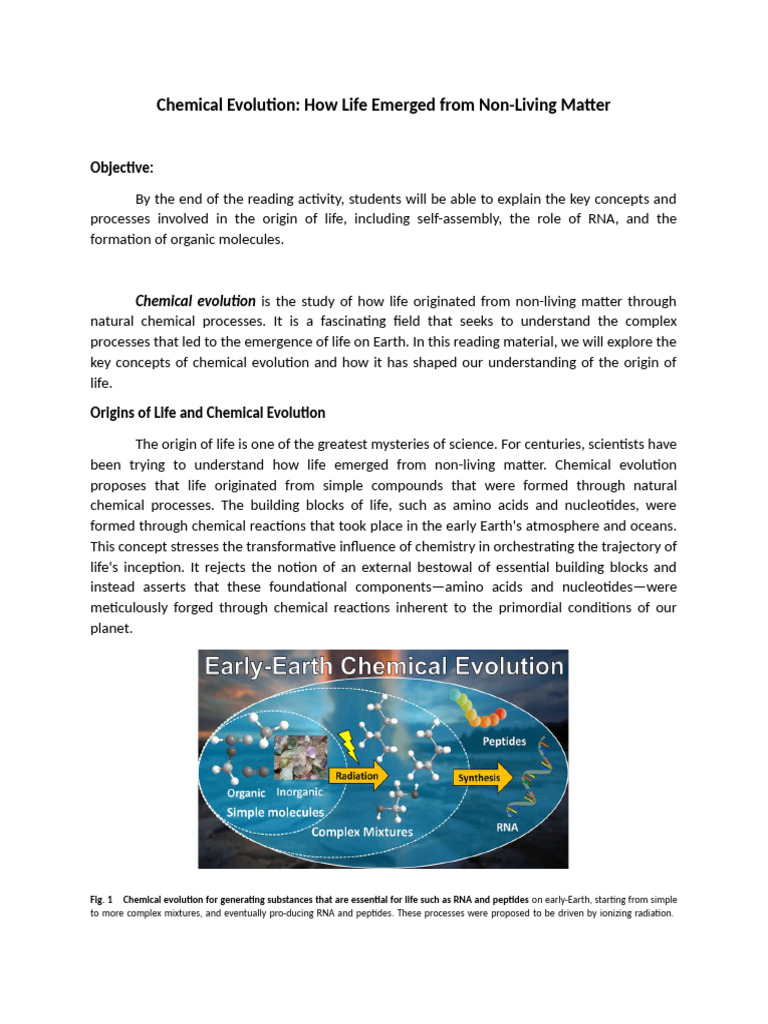 Chemical Evolution | PDF | Abiogenesis | Life