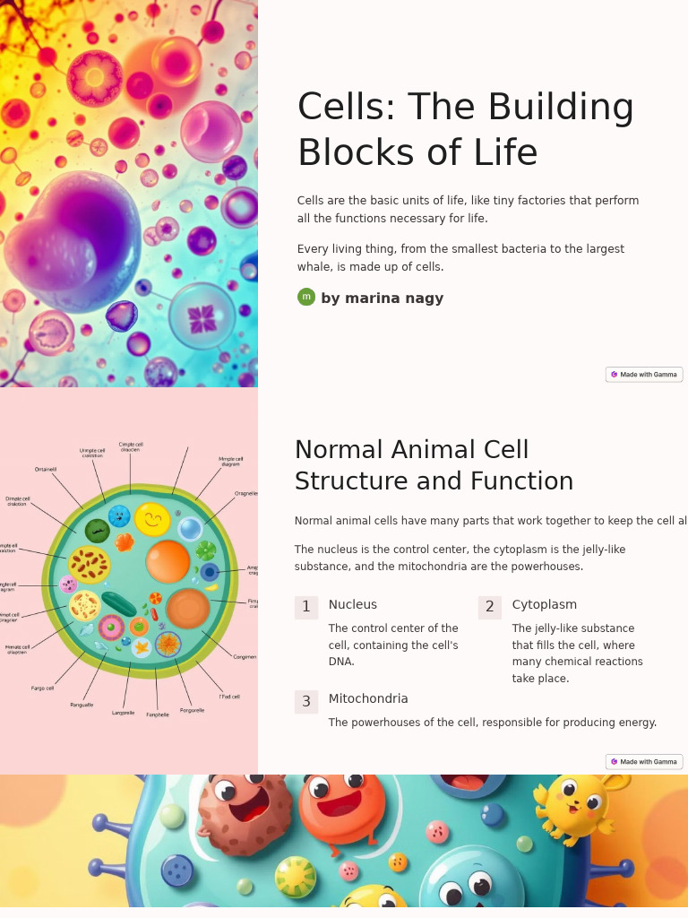 Cells-The-Building-Blocks-of-Life | PDF | Neuron | Blood