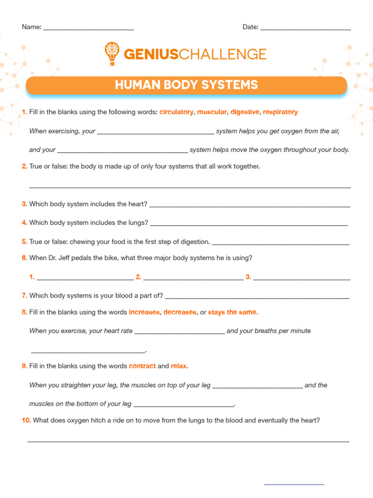 Human Body Systems Worksheet GG | PDF