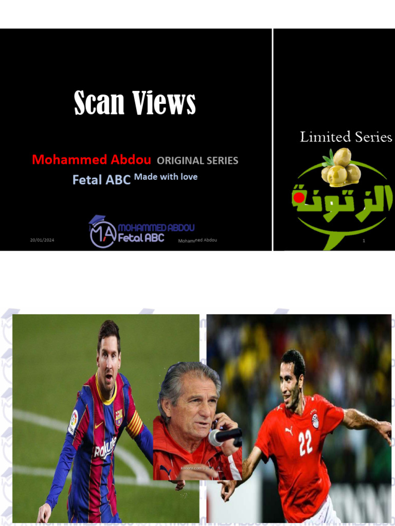 Scan Views | PDF | Science & Mathematics