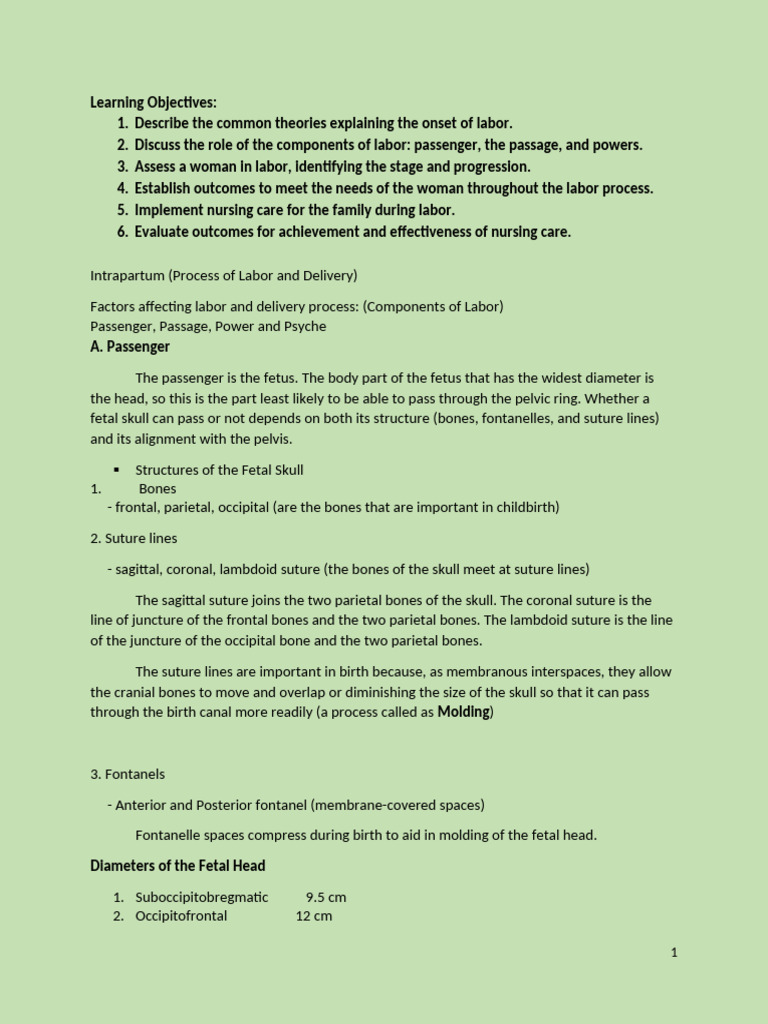 Intrapartal Period 2024 | PDF | Pelvis | Skull