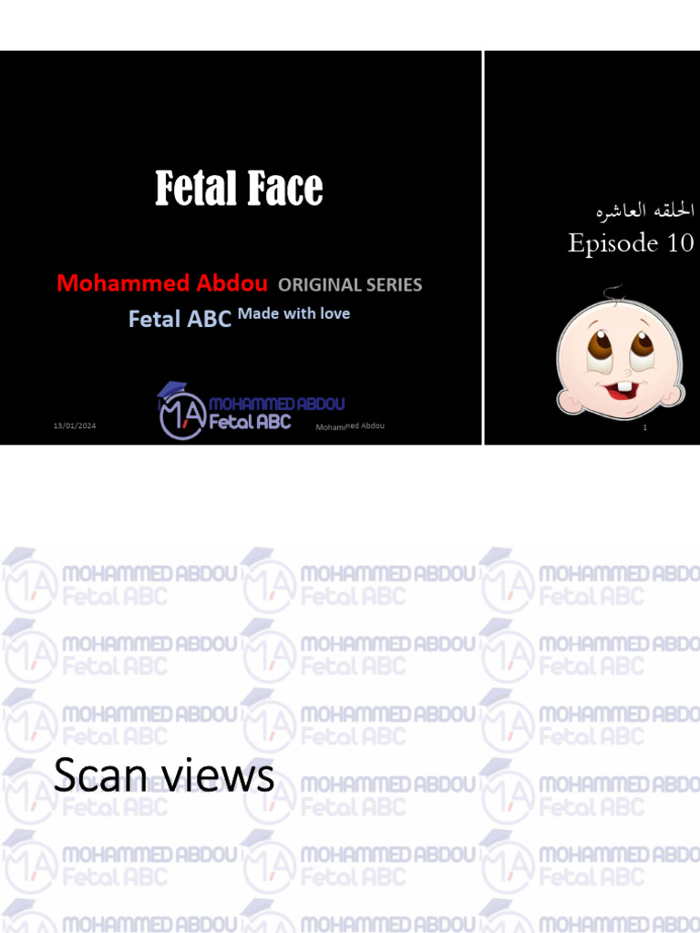 10 . face- | PDF | Human Nose | Lip