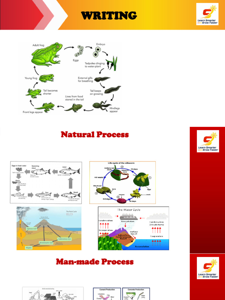 Writing Task 1 - Processes | PDF | Cocoa Bean | Chocolate