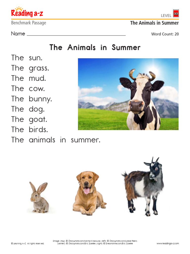 The Animals in Summer LVL Aa Passage | PDF