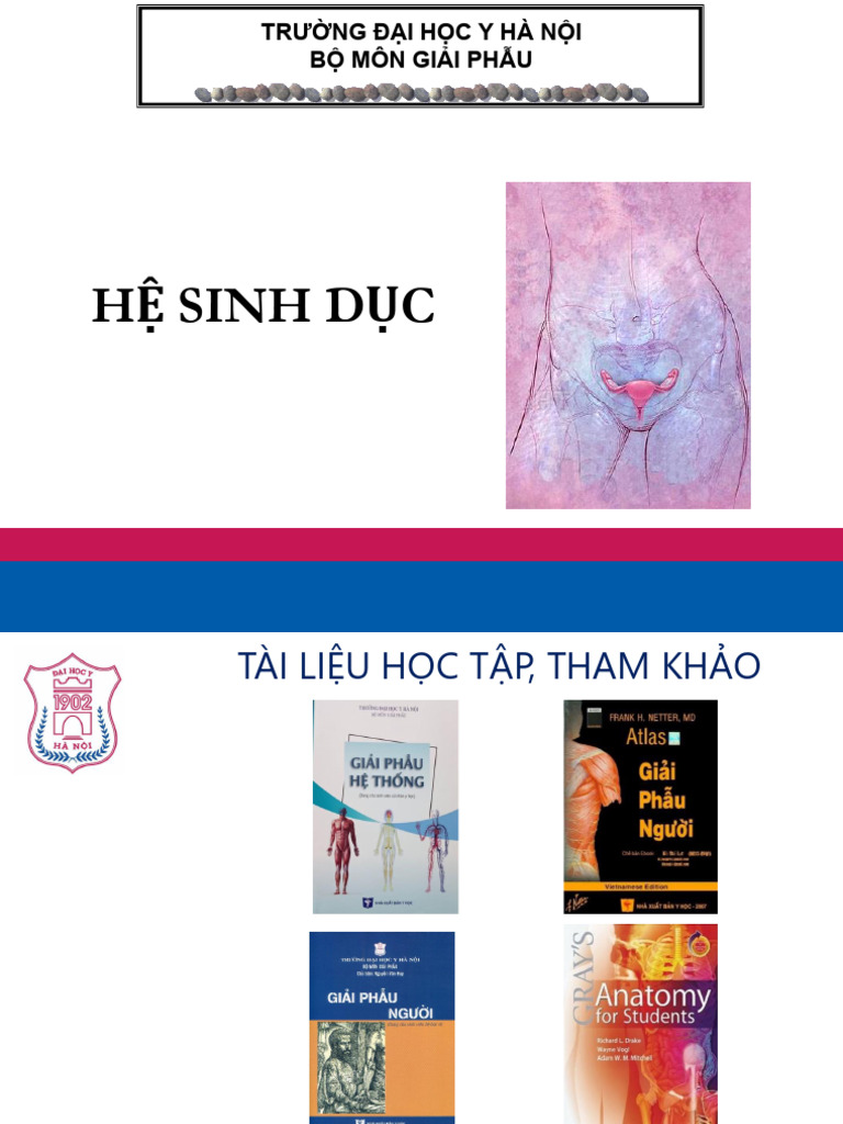 Hệ sinh duc | PDF
