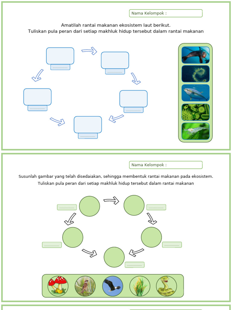 LKPD Rantai Makanan | PDF | Sains & Matematika