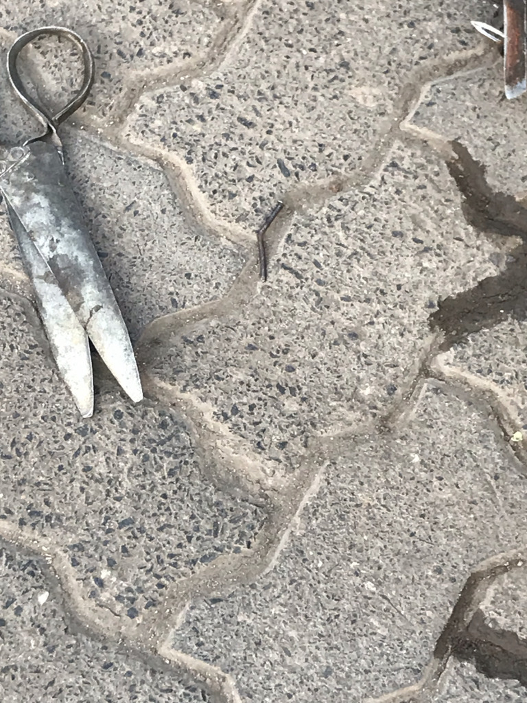 My Puncture Files | PDF