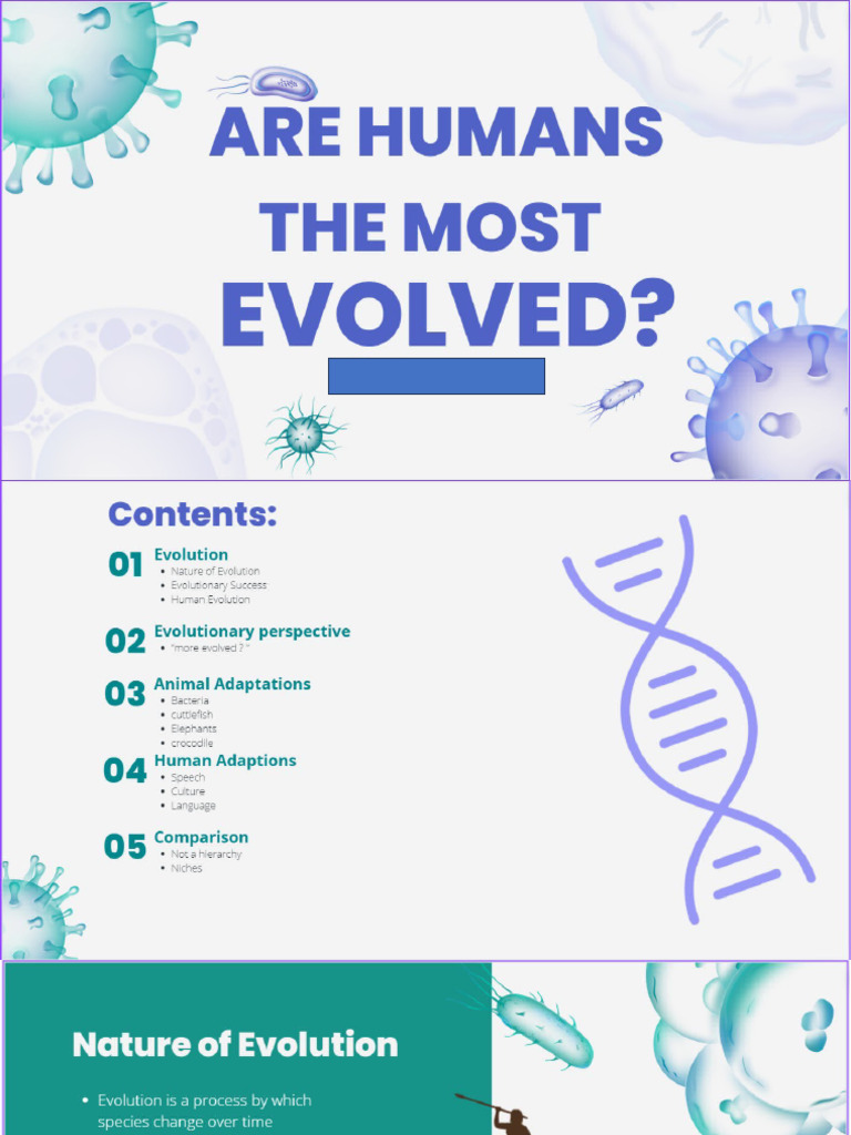 Octopus Camouflage and Evolution Insights | PDF