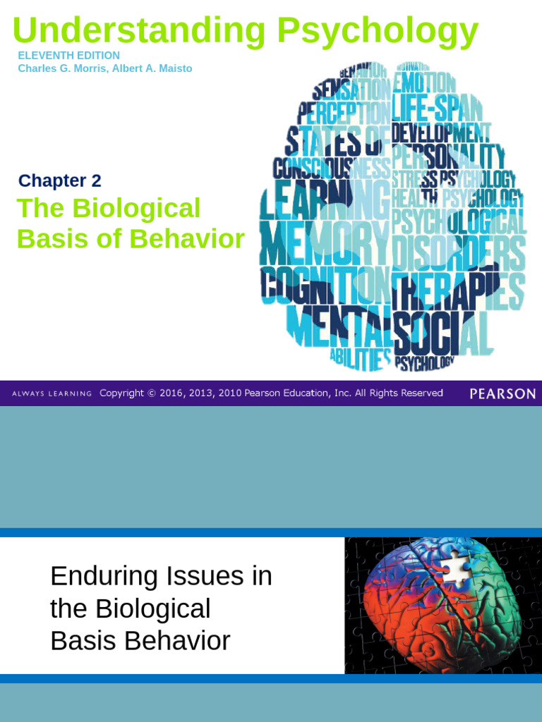 Chapter 2 - The Biological Basis of Behavior | PDF | Neuron ...