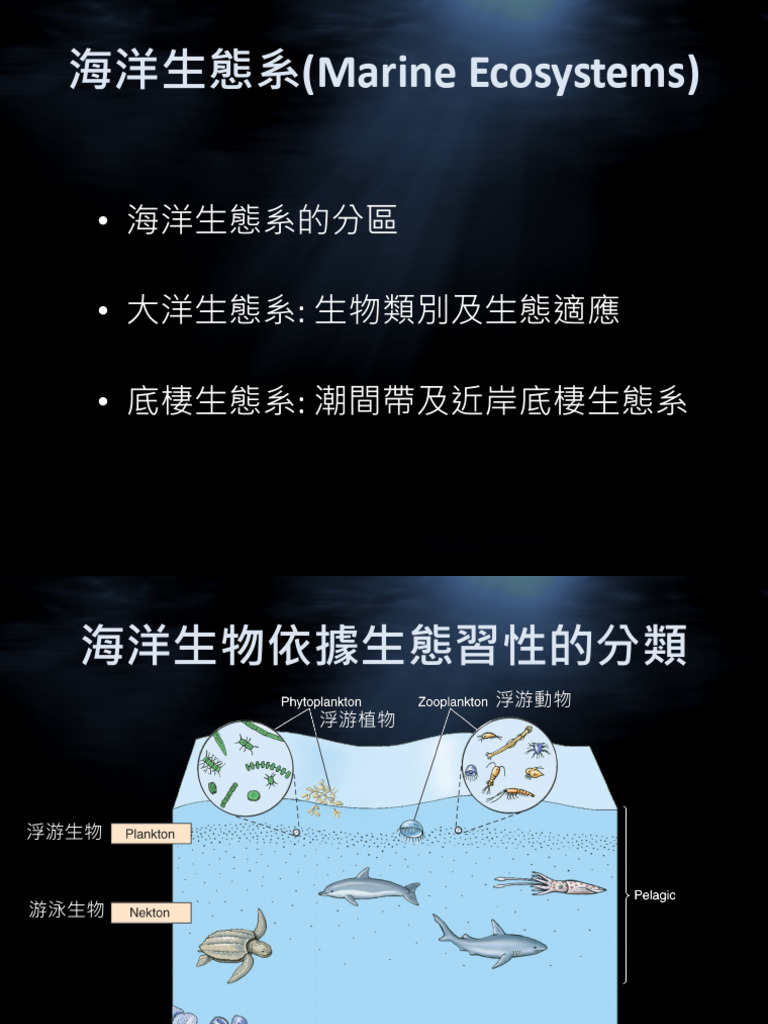 2024 Marine Ecosystems (2-1) | PDF