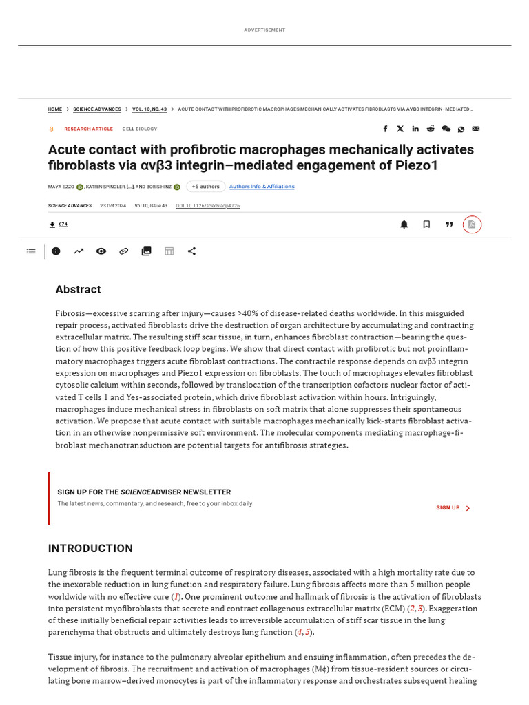 Acute contact with profibrotic macrophages mechanically activates ...
