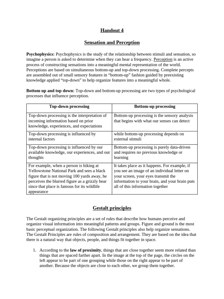 Handout 4 | PDF | Perception | Attention