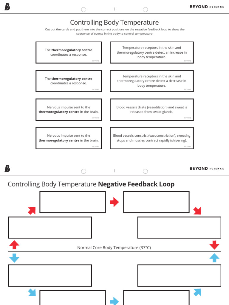 Controlling Body Temperature Feedback Loop | PDF | Vasodilation ...