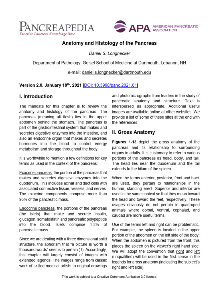 Anatomy-And-Histology-of-the-Pancreas-Version-2 | PDF | Pancreas ...