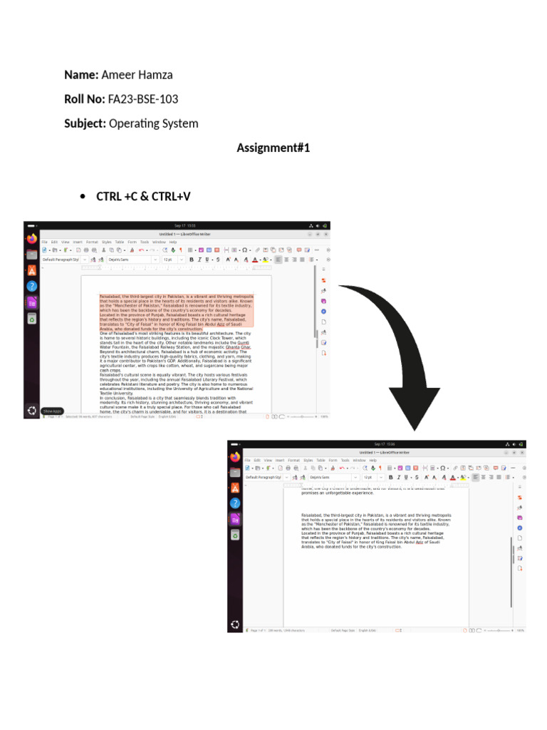 Fa23-Bse-103 Ameer Hamza - Os Assignment | PDF