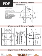 Reflejos Osteotendinosos (Rot) | PDF