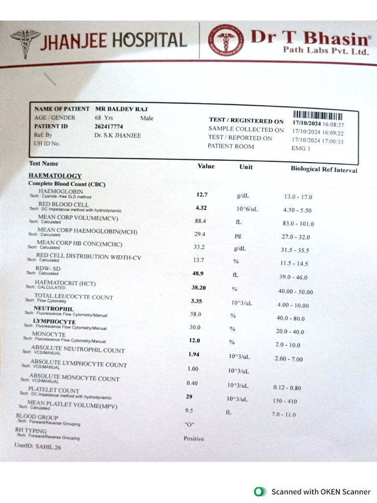 Baldev Raj Report | PDF