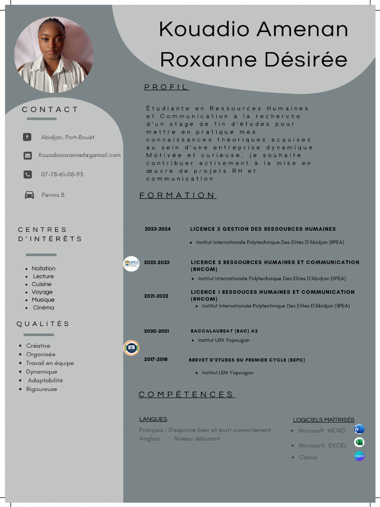 Cv Pro Impression | PDF