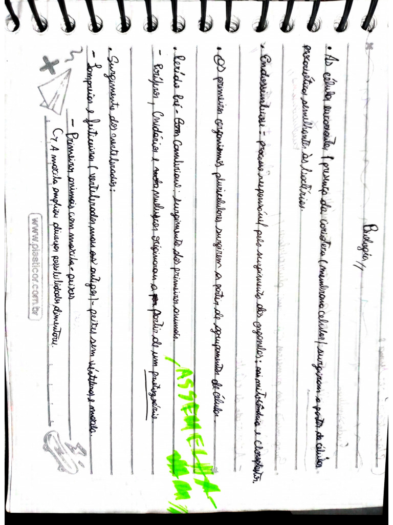 Documento Pdf