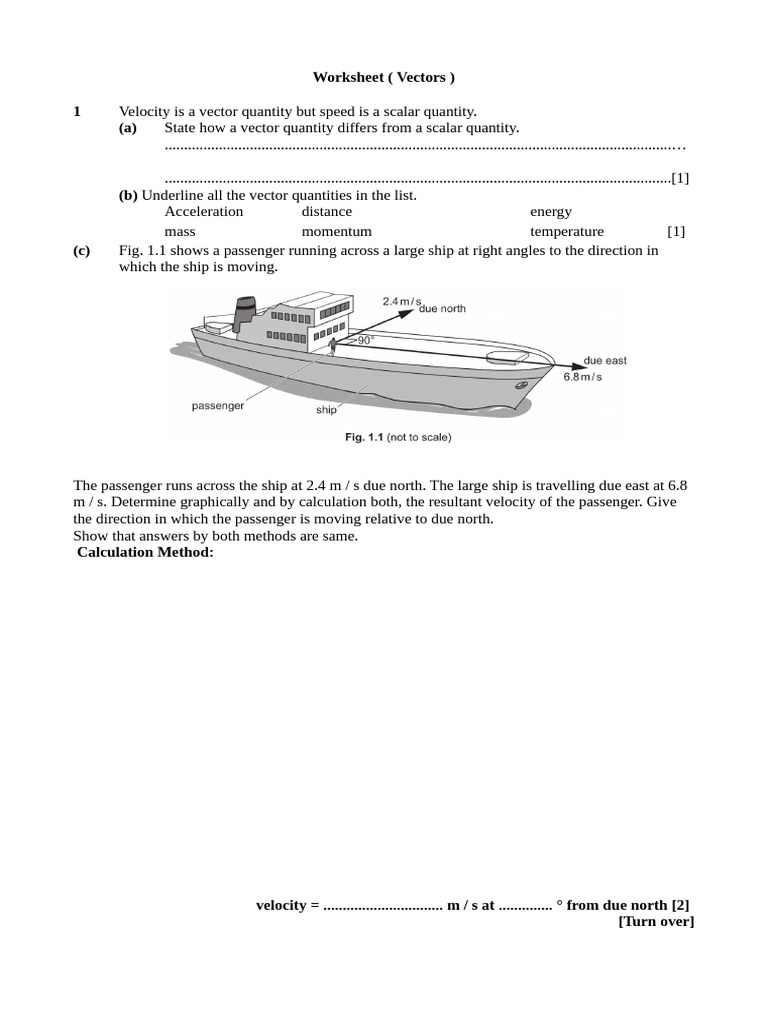 Vectors Worksheet | PDF
