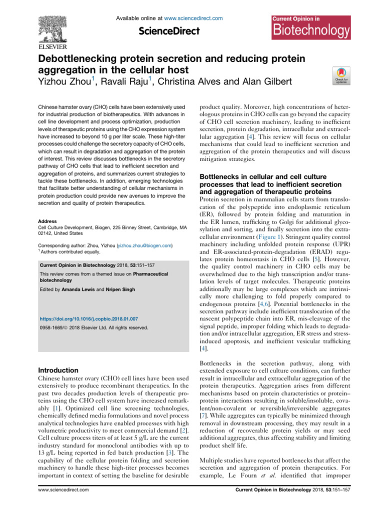CHO Cell Protein Secretion Optimization | PDF | Endoplasmic Reticulum ...