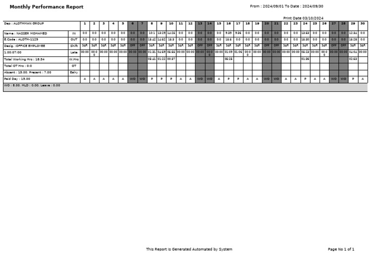 Monthly Performance Report | PDF