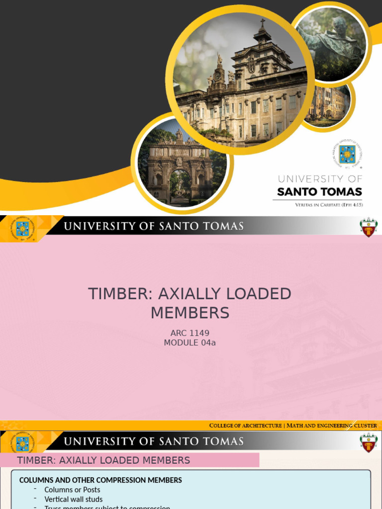 Timber Axially Loaded Members Guide | PDF | Column | Buckling