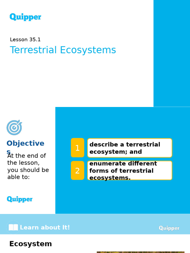 Earth and Life Science Lesson 35.1 Terrestrial Ecosystems | PDF ...