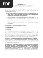 Ownership Protection in Property Law | PDF | Squatting | Common Law
