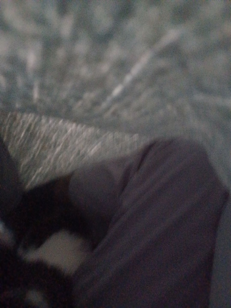 PDF 20241027 124756t | PDF