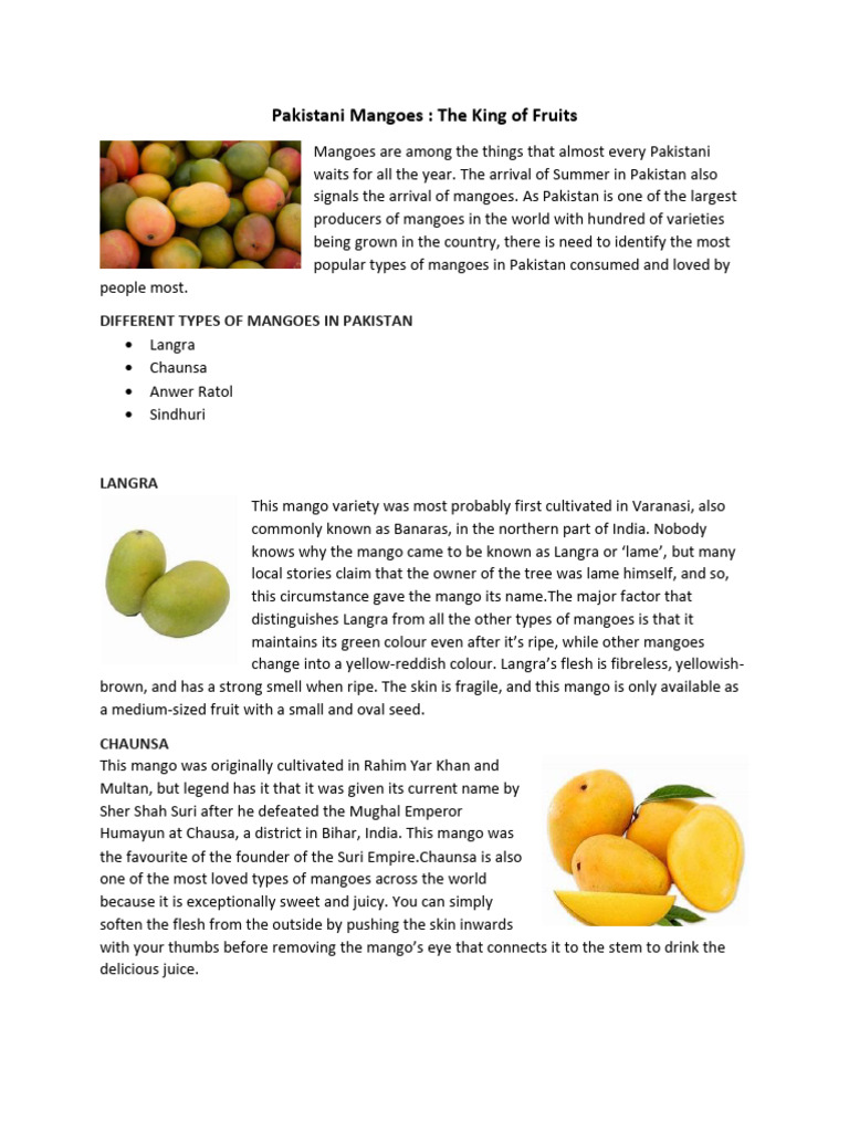 Pakistani Mangoes The King of Fruits1 | PDF | Mango | Fruit