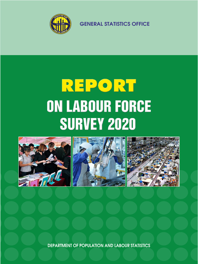 Labor Force Survey 2020 - GSO | PDF | Labour Economics | Unemployment