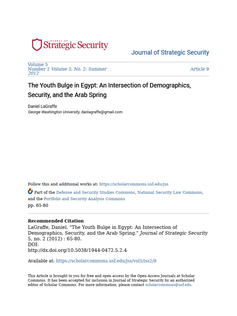 Lagraffe 2012 The Youth Bulge in Egypt An Inters 241017 111008 | PDF ...
