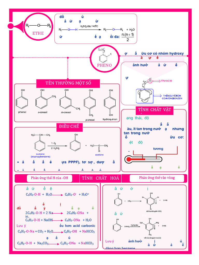 Map Phenol | PDF