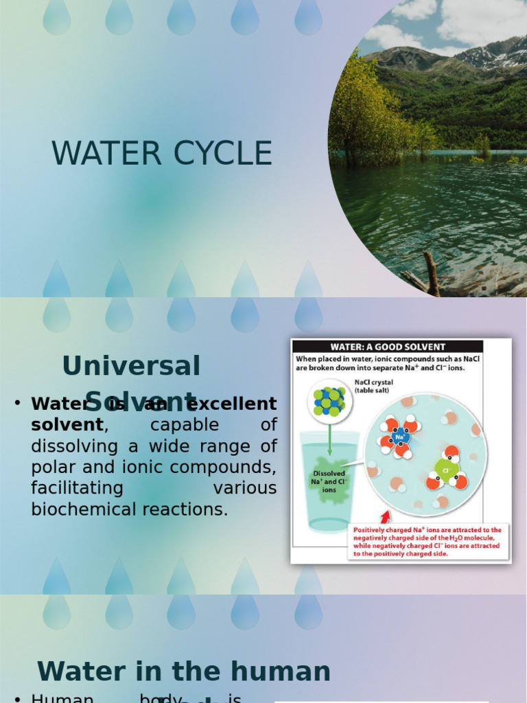 Water Cycle Revised | PDF