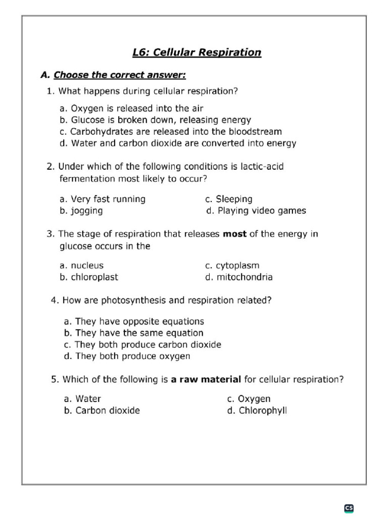 G7 Final Exam Pointers 1st Term | PDF